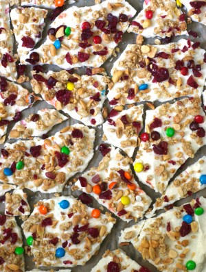 Trail Mix Frozen Yogurt Bark